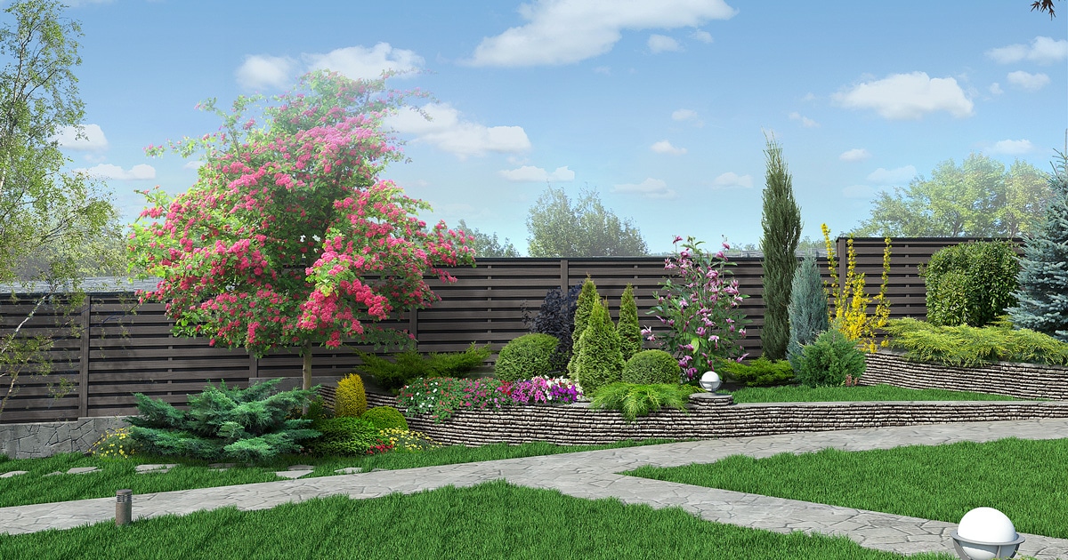 Evergreen Shrubs for Year-Round Interest & Structure